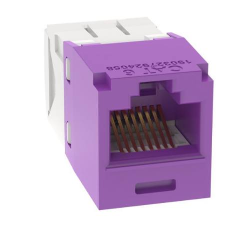 Jack Panduit UTP RJ45 categoría 6, violeta, CJ688TGVL