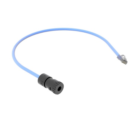 6A UTP Connector, Plenum RJ45 Cord, 0.5M, Blue | ABSA Online